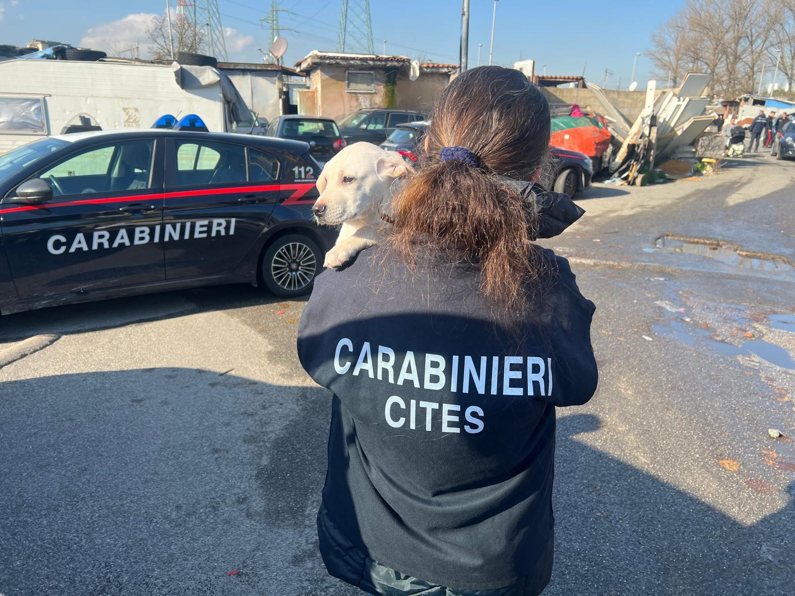 Napoli: controlli ai campi rom. Continua l’operazione “Alto Impatto ...